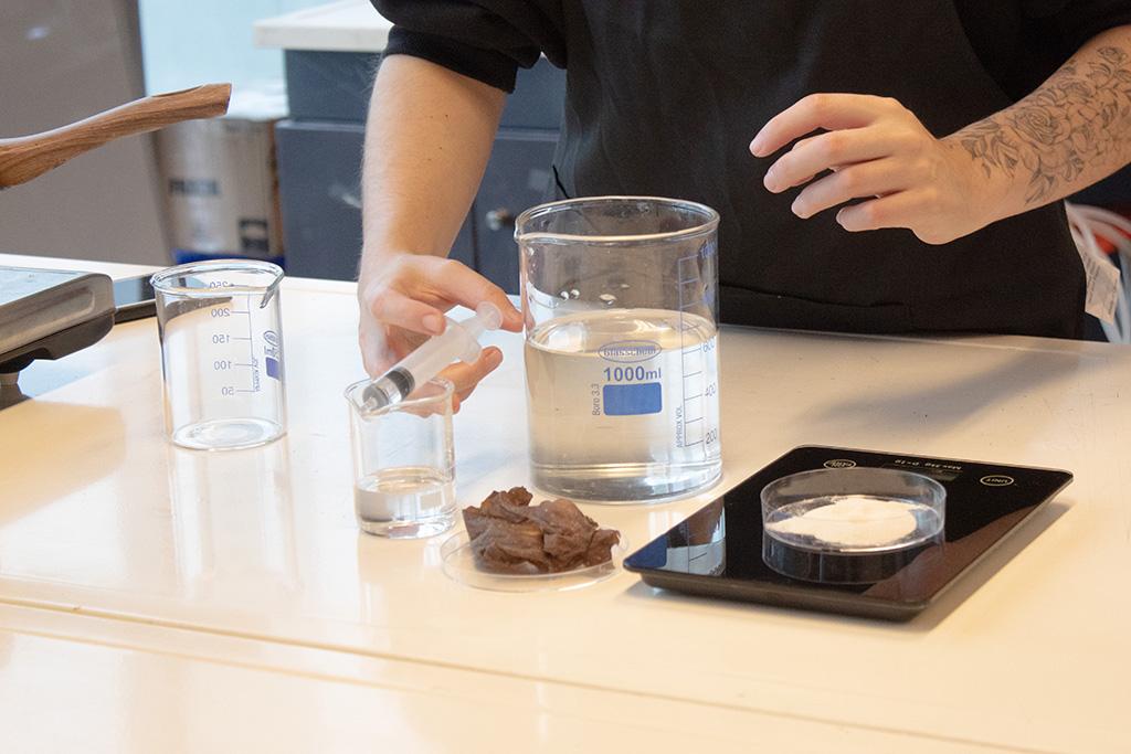 Filga: la fibra biodegradable que se desarrolla en la U. de Chile ...