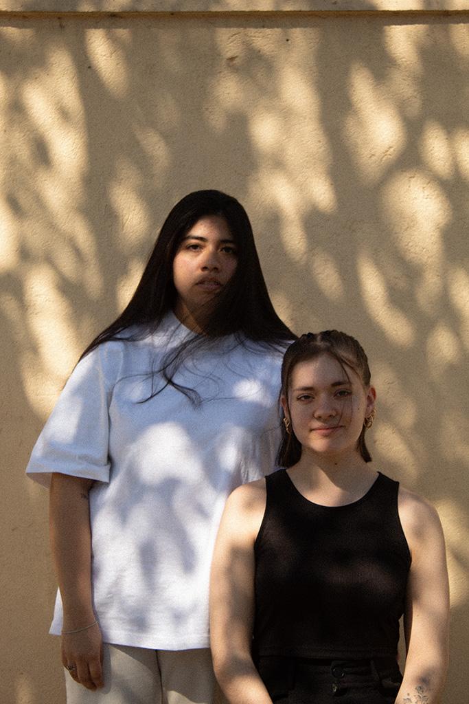 Filga: la fibra biodegradable que se desarrolla en la U. de Chile ...